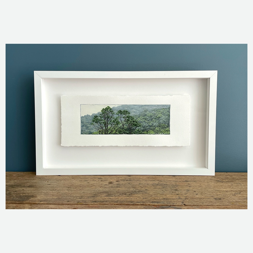 NEW Evergreen Study – Sara Langdon Art