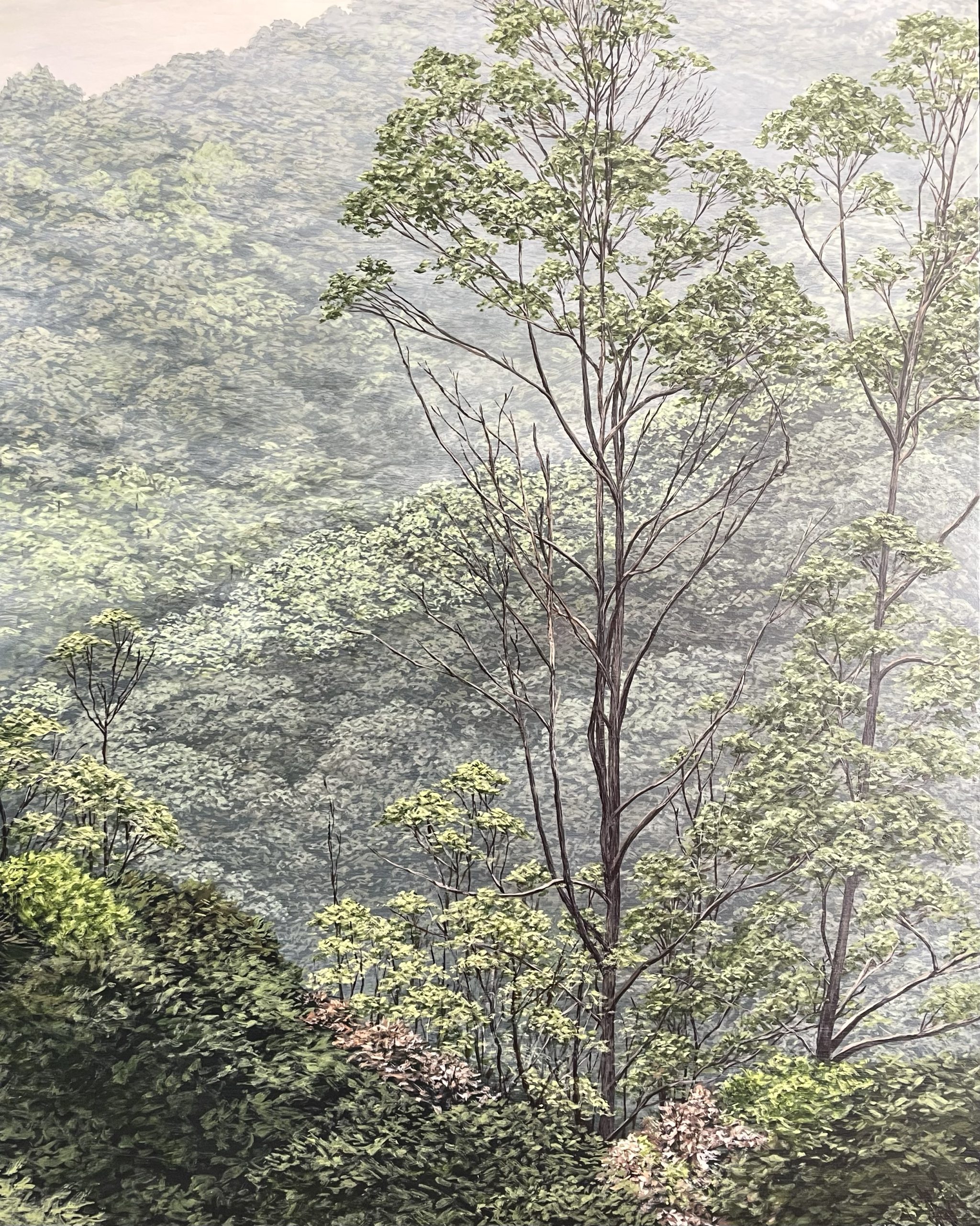 Evergreen V – Sara Langdon Art